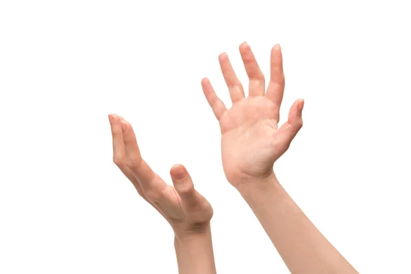 Covering deaf people Stock Photos, Royalty Free Covering deaf people ...