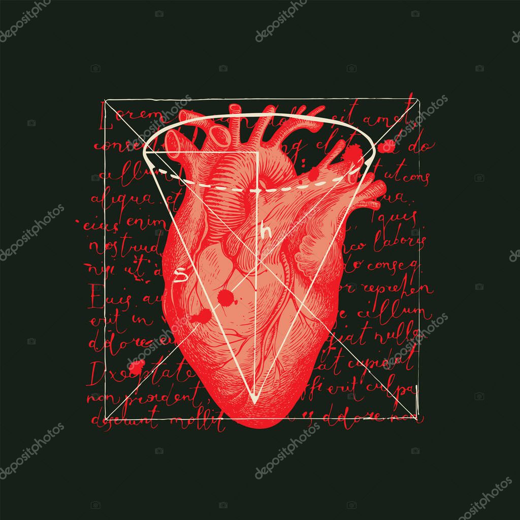 Ilustración vectorial con un corazón rojo, texto manuscrito Lorem ipsum ...