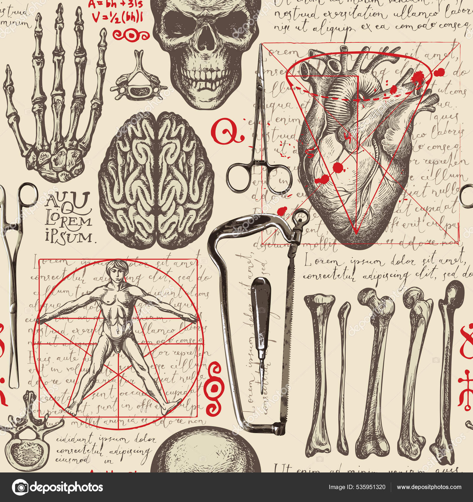 Image vectorielle Anatomie Motif Sans Couture Avec Crânes Humains ...