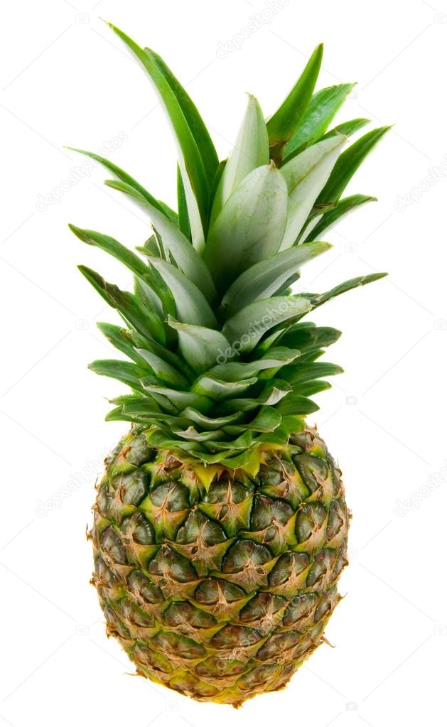 Pineapple Stock Photo by ©EM_prize 22517461