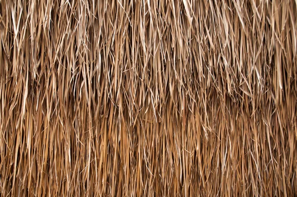 Hay roof texture Stock Photos, Royalty Free Hay roof texture Images ...