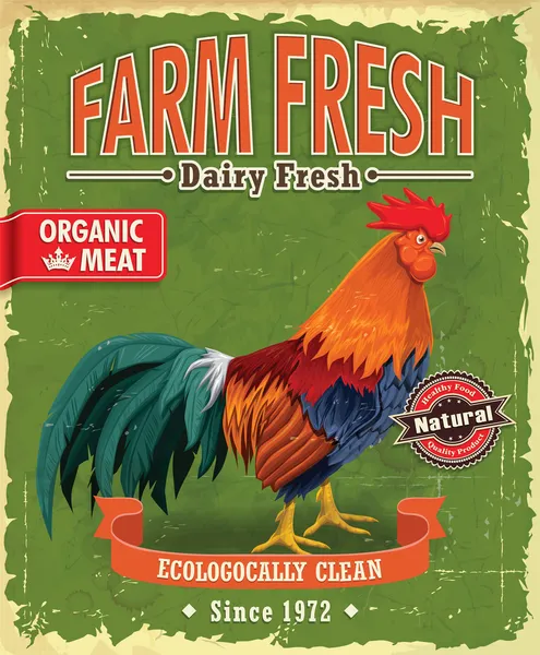 Fresh chicken Vector Art Stock Images | Depositphotos