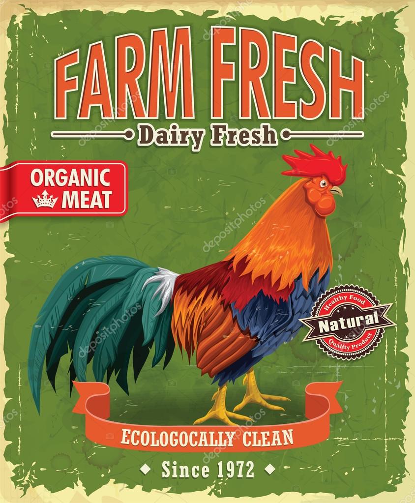 Vintage Farm fresh Chicken poster design — Stock Vector © Donnay #38756015