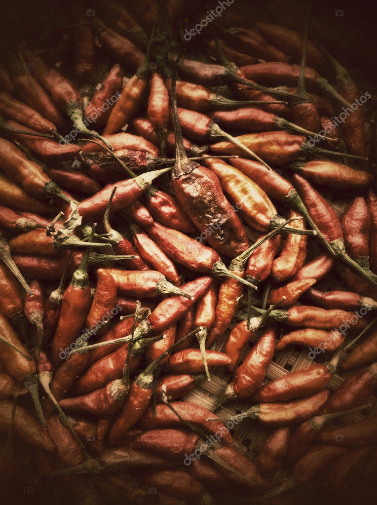 Indian Long Pepper — Stock Photo © luknaja #31513751