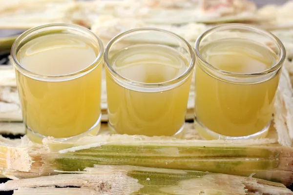 Drinks sugar cane. ⬇ Stock Photo, Image by © luknaja #34725253