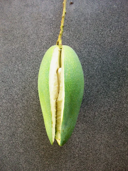 Pipa brasil Stock Photos, Royalty Free Pipa brasil Images | Depositphotos