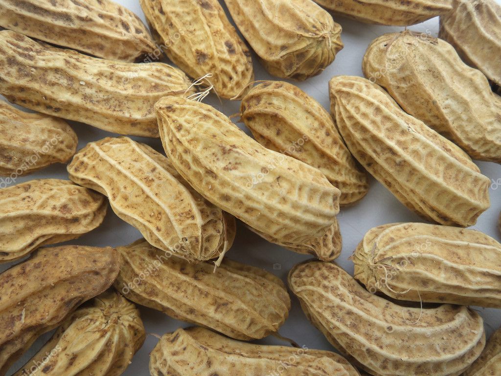 Peanuts — Stock Photo © luknaja #50912423