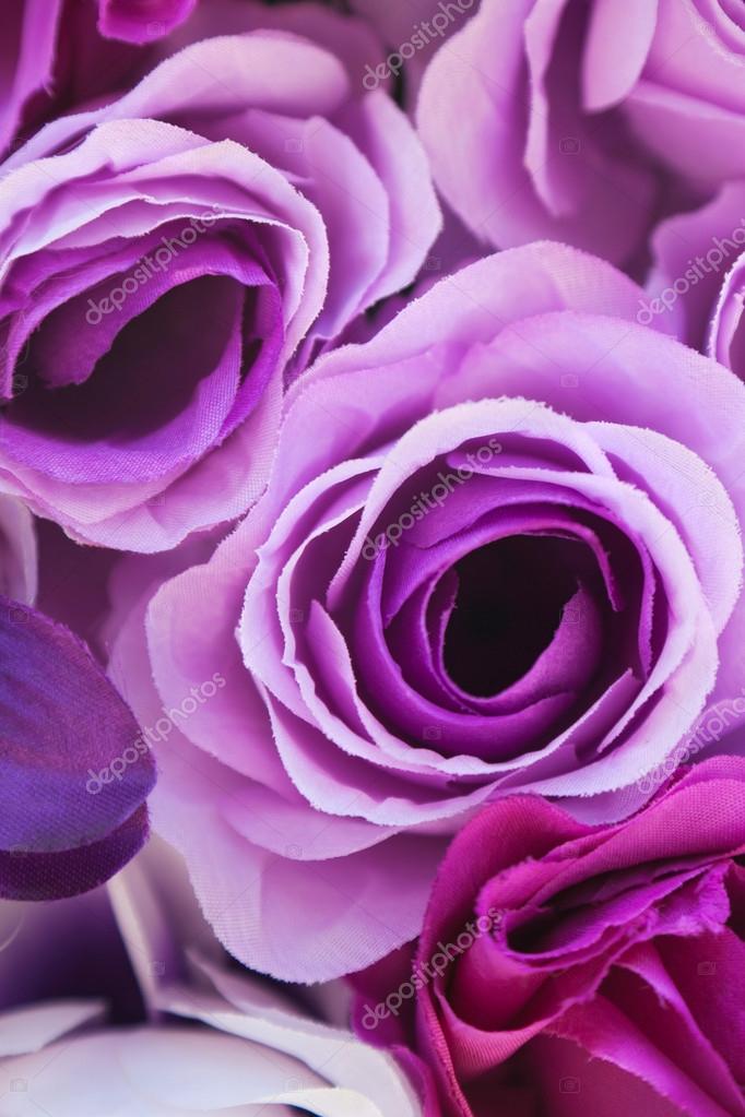 Purple roses Stock Photo by ©Seleznyov 12187970