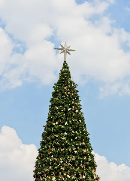 christmas tree - Stock Image - Everypixel