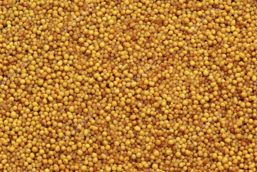 Mineral fertilizer Stock Photo by ©Kassandra2 50144155