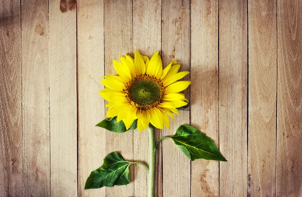 Rustic sunflower Stock Photos, Royalty Free Rustic sunflower Images ...