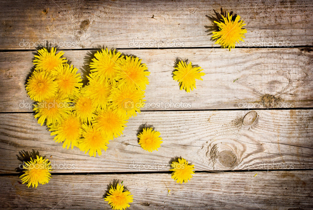 Yellow dandelions forming heart Stock Photo by ©avgustin 35724745