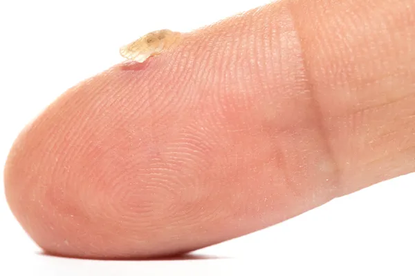 Last off Stock Photos, Royalty Free Last off Images | Depositphotos