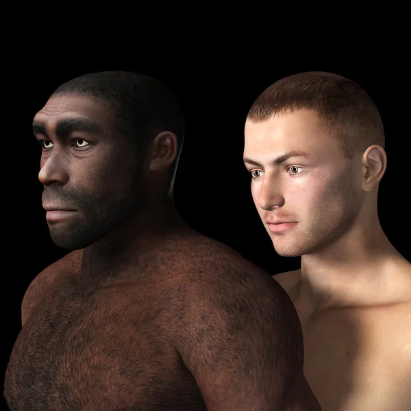 Homo Erectus Stock Photo by ©3quarks 31695711