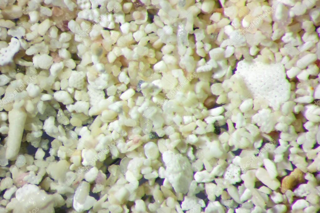 Microphotography of sand grains Stock Photo by ©3quarks 51097111