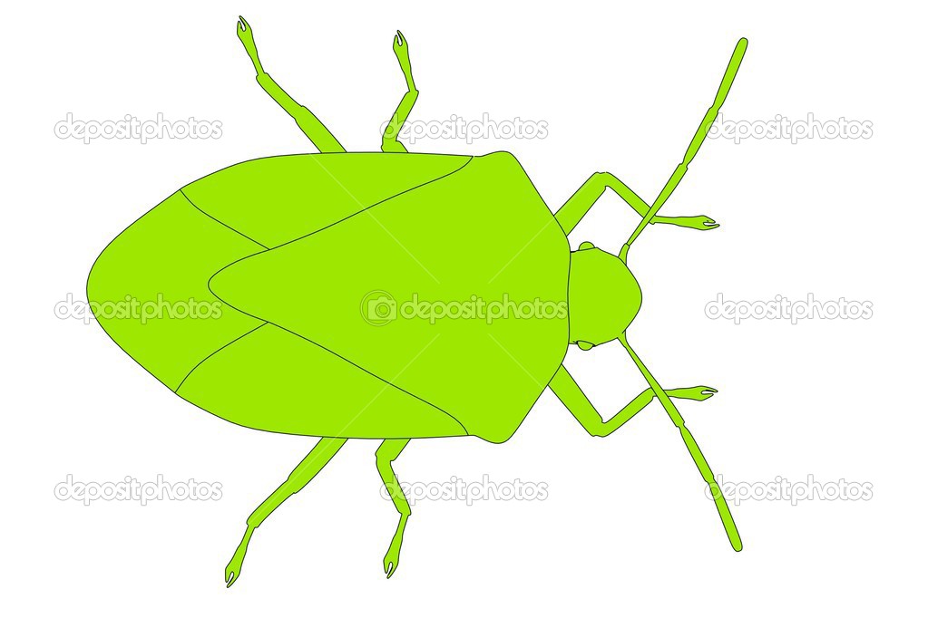 Cartoon image of stink bug Stock Illustration by ©3drenderings #36994639