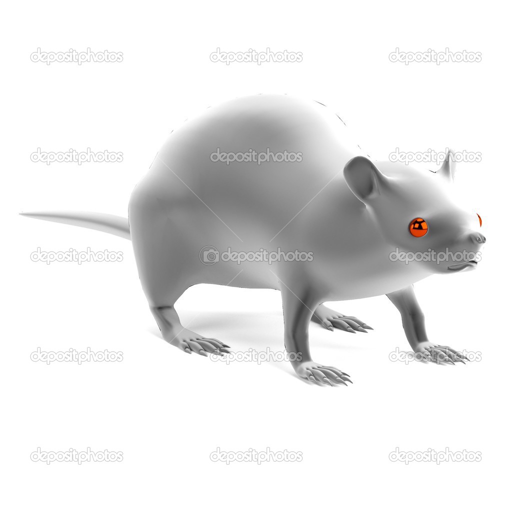 Realistic 3d render of rat — Stock Photo © 3drenderings #40517329