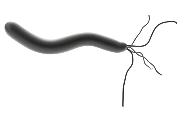 H pylori Stock Photos, Royalty Free H pylori Images | Depositphotos