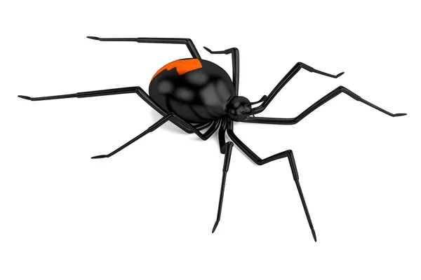 Redback Spider Australian Black Widow Latrodectus Hasselti Realistic ...
