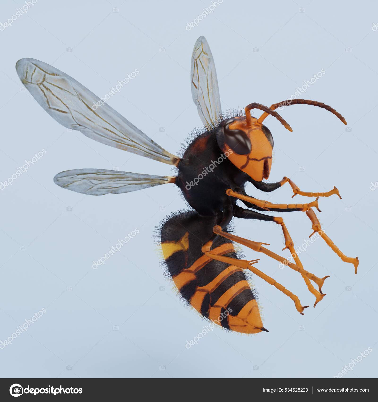 Japanese Wasp