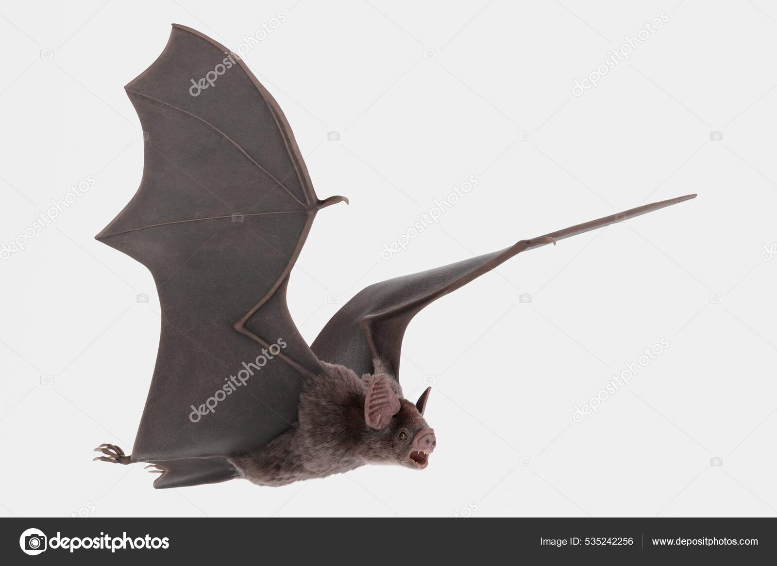 Flying Vampire Bat