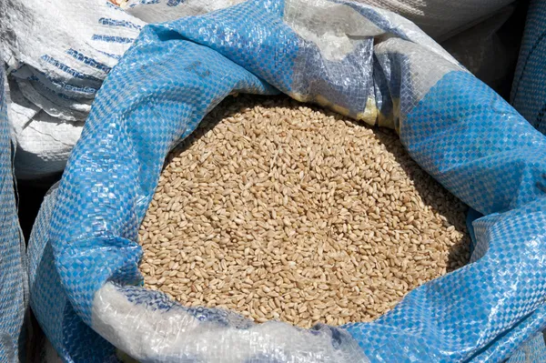 ᐈ Grain sack stock images, Royalty Free grain bag photos | download on ...