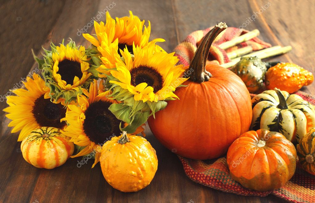 Autumn pumpkins and sunflowers — Stock Photo © Anjela30 #13382590
