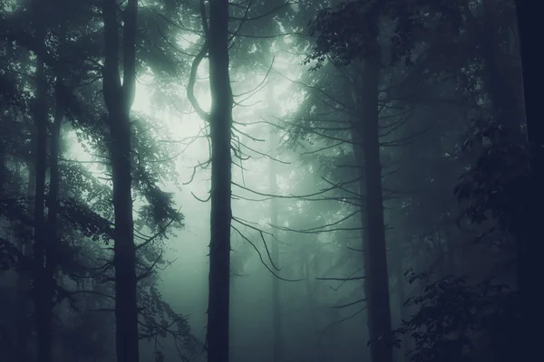 Creepy Stock Photos, Royalty Free Creepy Images | Depositphotos