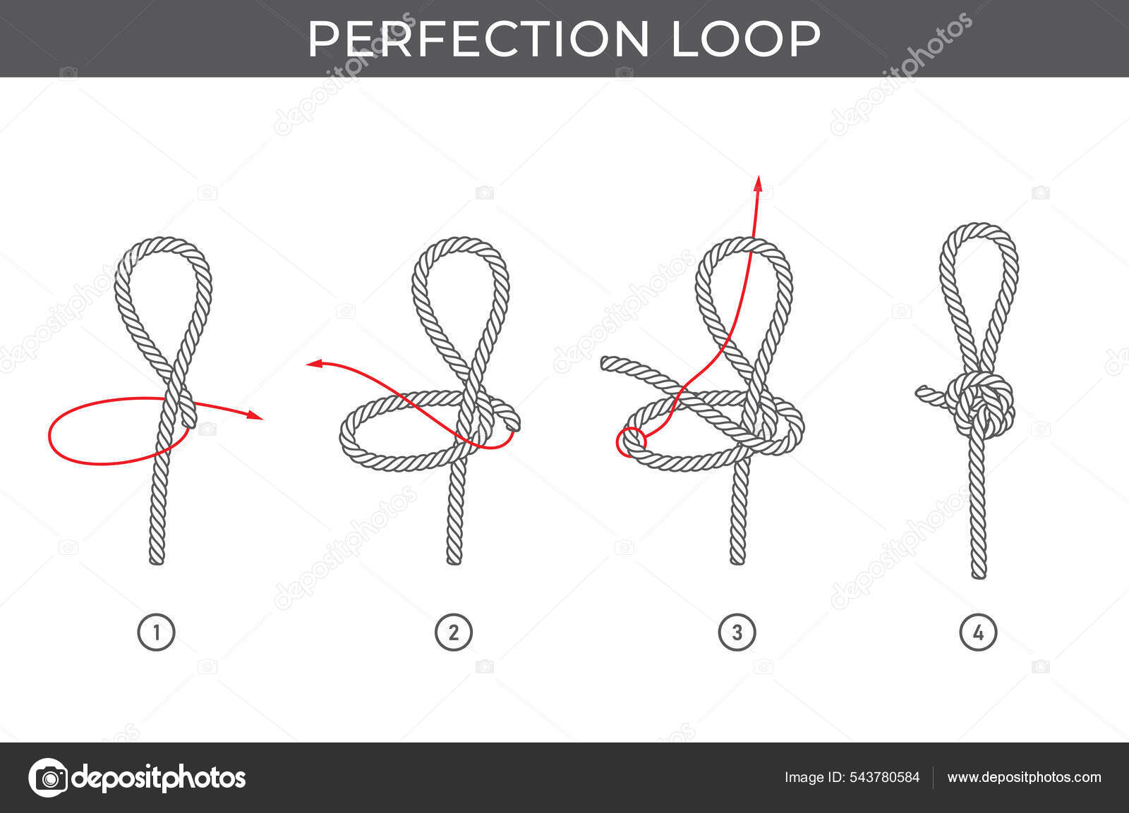 Vector Simple Instructions Tying Perfection Loop Four Steps Isolated ...