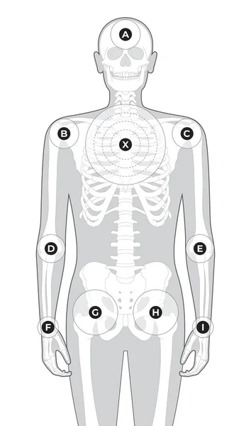 100,000 Exame interno Vector Images | Depositphotos