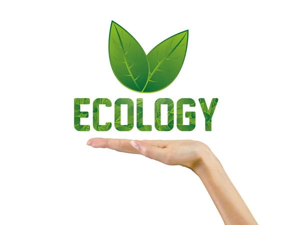 Ecolologia Stock Photos, Royalty Free Ecolologia Images | Depositphotos