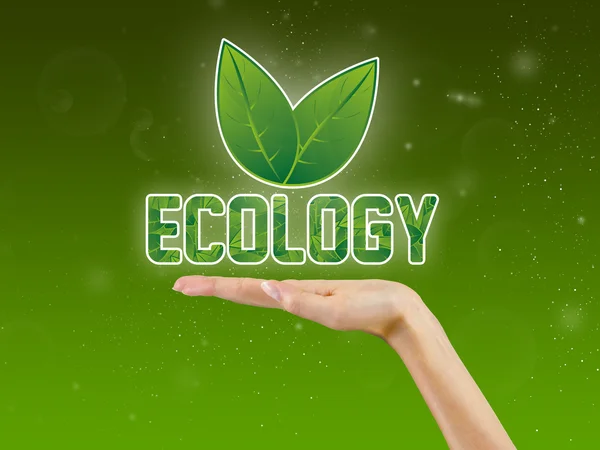 Ecolologia Stock Photos, Royalty Free Ecolologia Images | Depositphotos