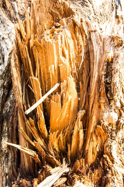 Natureza destruidora Stock Photos, Royalty Free Natureza destruidora ...