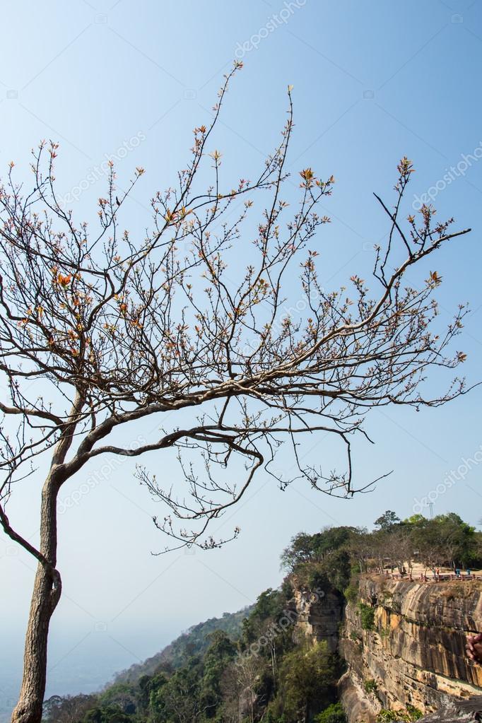 Pha mo E Dang, provincia de Srisaket, Tailandia 2025