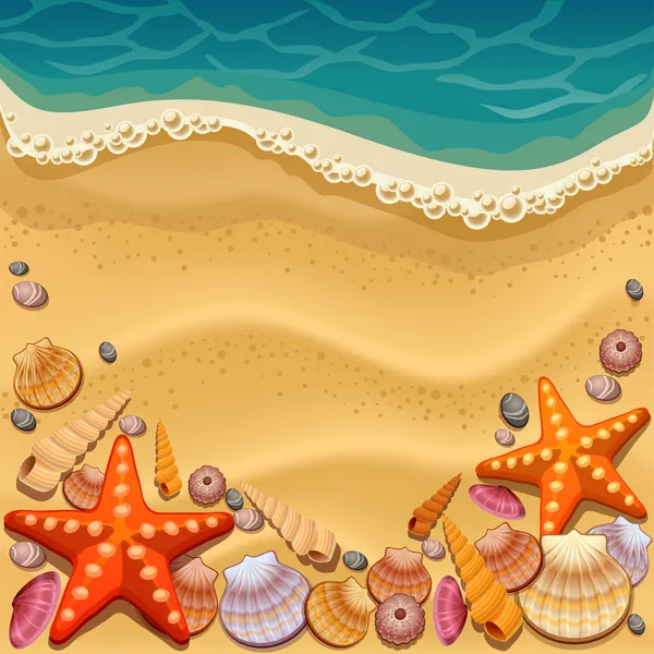 Sea shells Vector Art Stock Images | Depositphotos