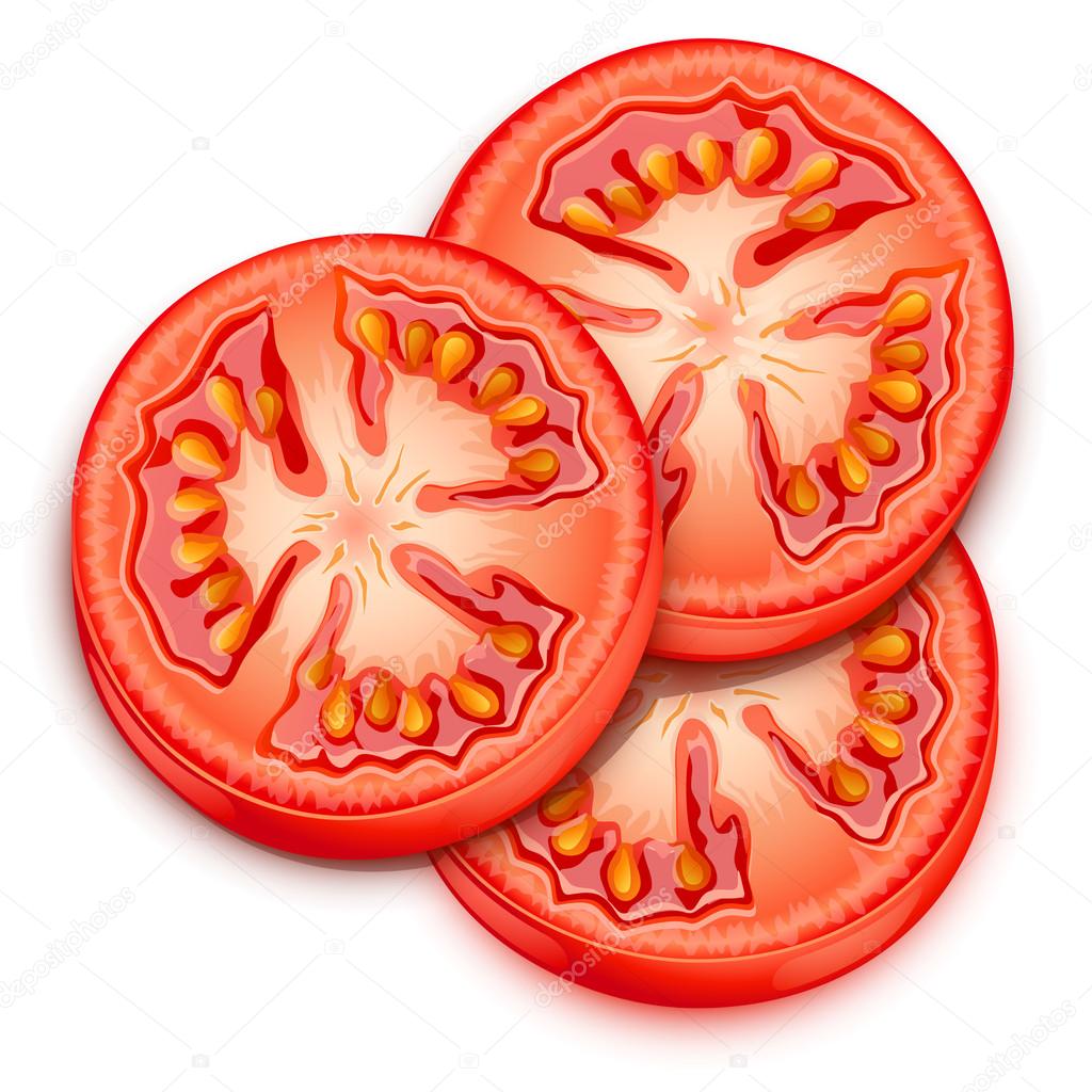 Tomato Slice Vector