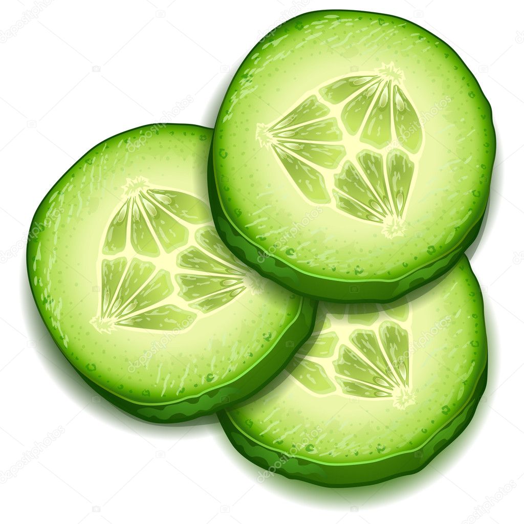 Fresh Cucumber Slice — Stock Vector © Kolopach 18463883