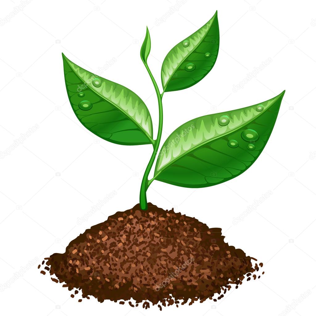 Planta verde Vector de stock por ©Kolopach 18464051