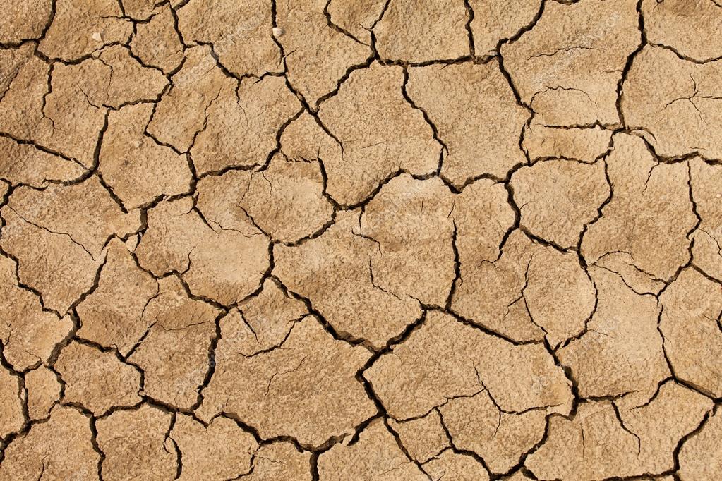Cracked and dried mud texture — Stock Photo © danmir12 #26204815