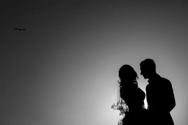 Shadow Photography Of Couple