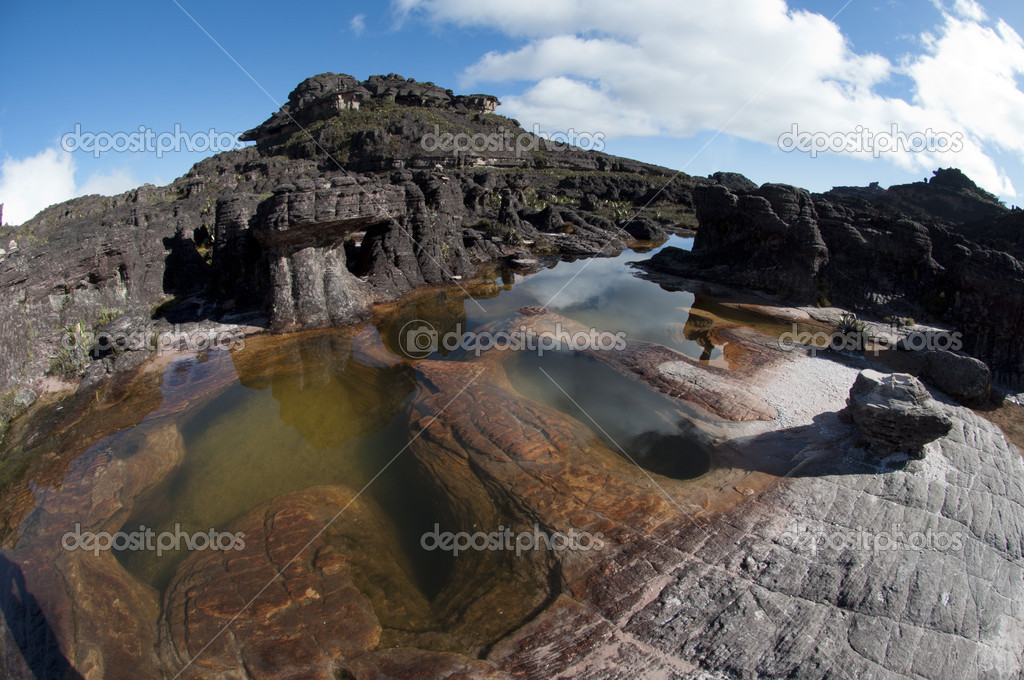 Basin on the top of Roraima plateau. Venezuela — Stock Photo © coddie ...