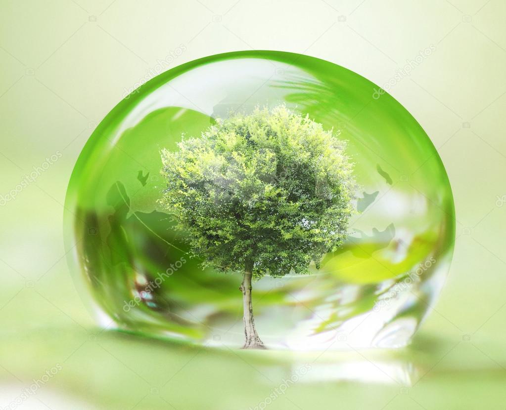 Tree in water drop ⬇ Stock Photo, Image by © violetkaipa #29341467