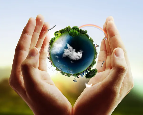 Ecosystem Stock Photos, Royalty Free Ecosystem Images | Depositphotos