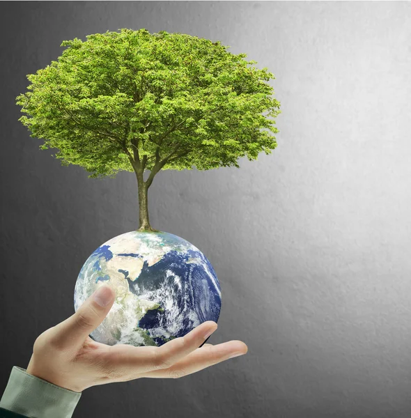 Earth globe and tree in his hand — Stock Photo © violetkaipa #35154003