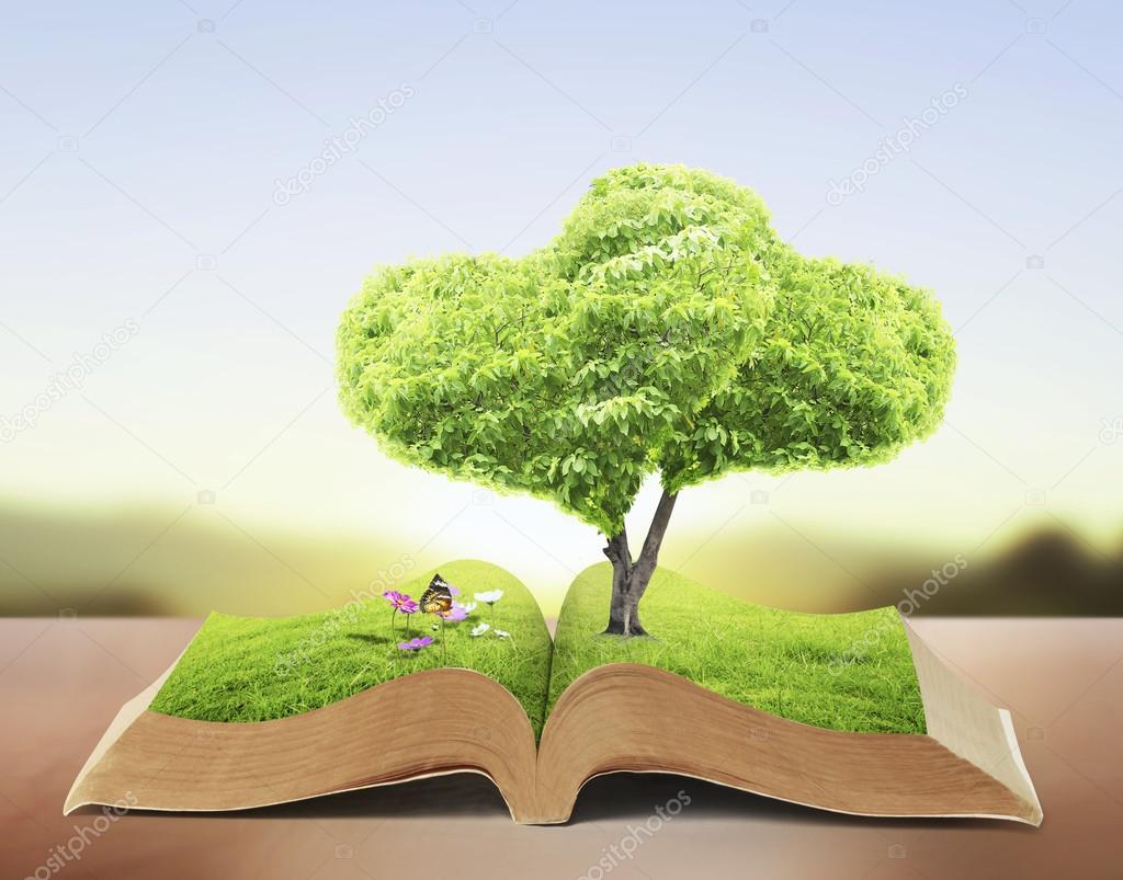 Open book of nature Stock Photo by ©violetkaipa 50935161