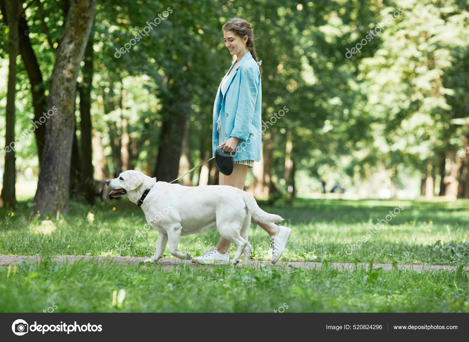 Dog Walking Side View