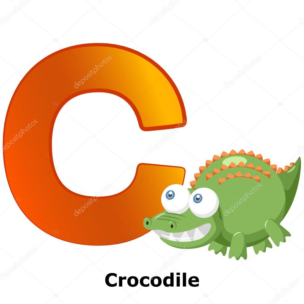 Alfabeto animal C Vector de stock #27249665 de ©kchungtw