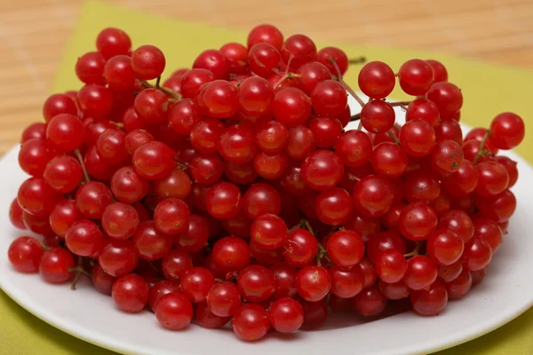 Mossberry Stock Photos, Royalty Free Mossberry Images | Depositphotos