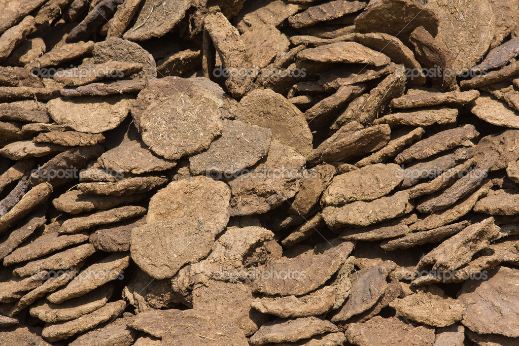 Dry cow dung, India — Stock Photo © OlegDoroshenko #20532107