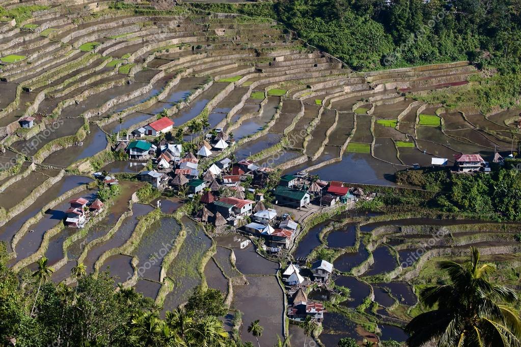 Rice Terraces, Philippine. Stock Photo by ©OlegDoroshenko 43345963